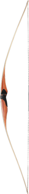 Bear Archery Au Sable 64" Longbow – Archery Past