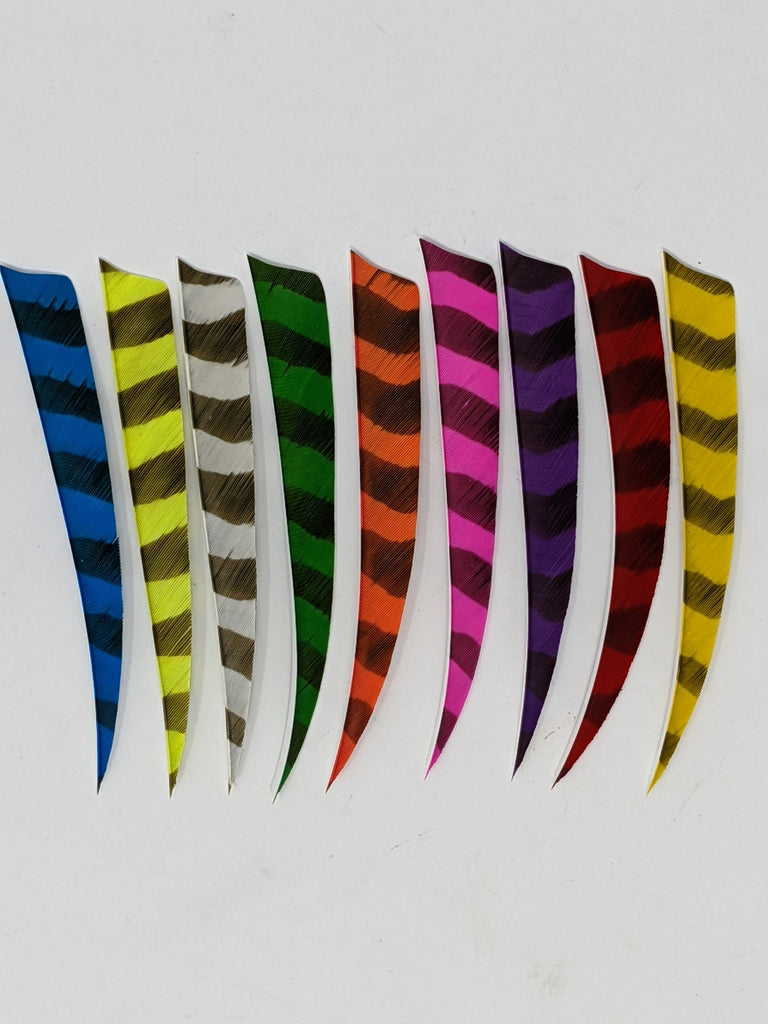 5-inch Shield Cut Barred Feathers by TrueFlight – Archery Past